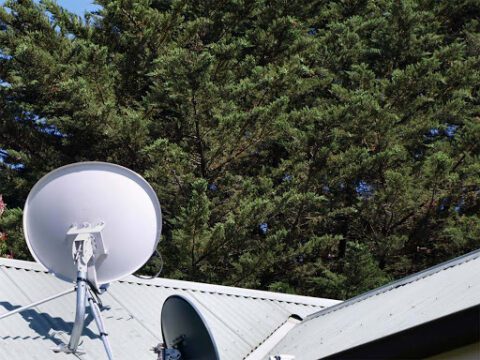 Trees and Your TV and Satellite Signals | Digitec Aerial & Satellite ...